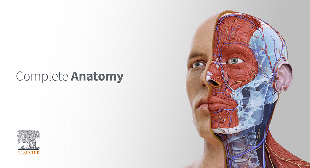 Complete Anatomy 2022 แอพกายวิภาคศาสตร์แบบสามมิติ ข้อมูลแน่นและแม่นยำ ...